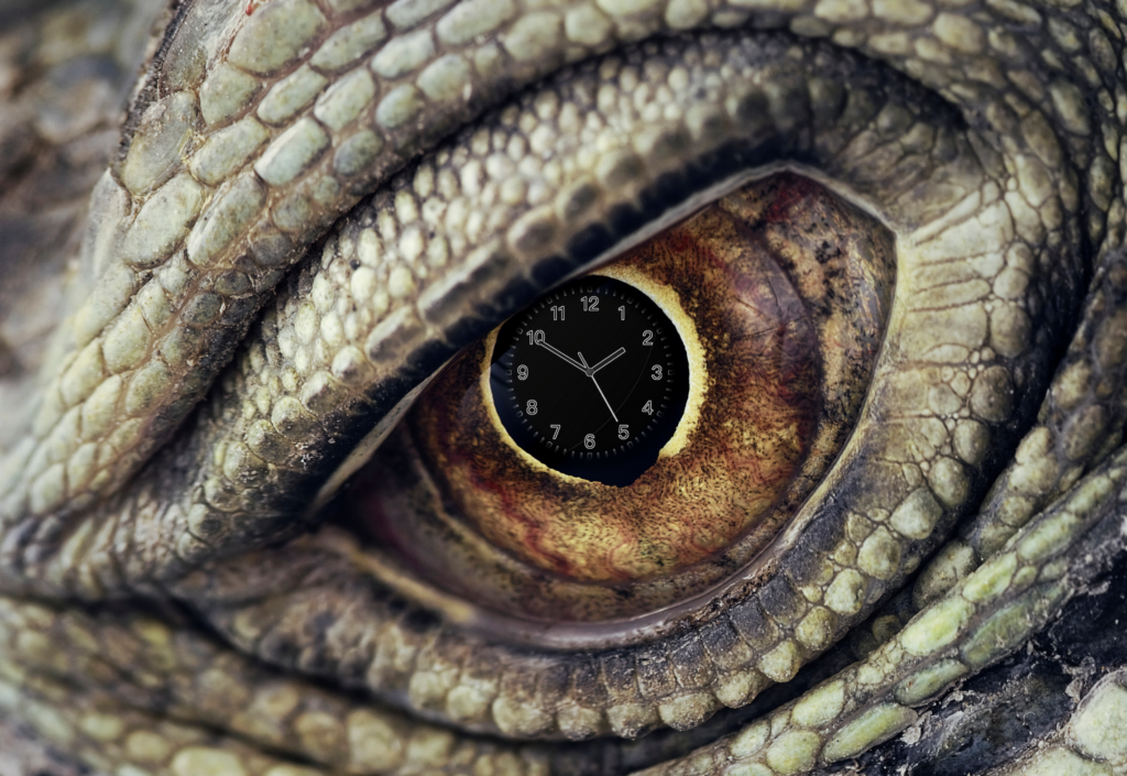 Six Ways To Guard Your Time